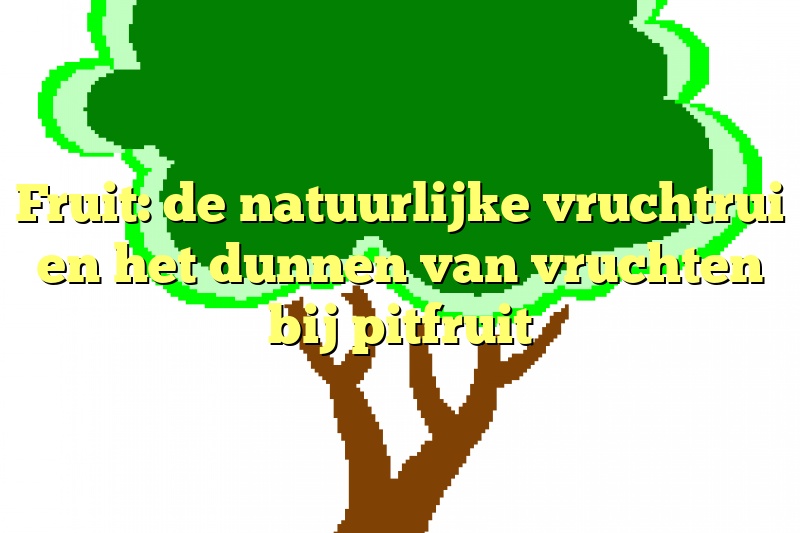 Fruit: de natuurlijke vruchtrui en het dunnen van vruchten bij pitfruit Fruit: de natuurlijke vruchtrui en het dunnen van vruchten bij pitfruit